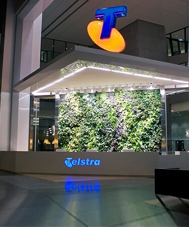 Leveraging Microsoft Advertising to improve ROAS | Resolution Digital